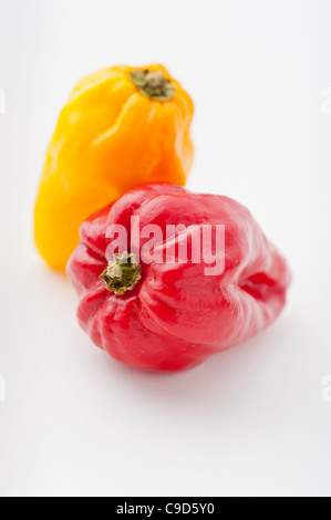 two chili peppers Stock Photo - Alamy