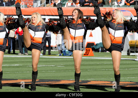 Dec. 11, 2011 - Cincinnati, Ohio, U.S - Houston Texans kicker Neil ...
