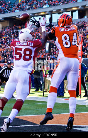 Dec. 24, 2011 - Cincinnati, Ohio, U.S - Arizona Cardinals center Lyle ...