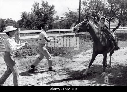 JEAN SIMMONS, daughter Tracy Granger, and husband Stewart Granger circa ...