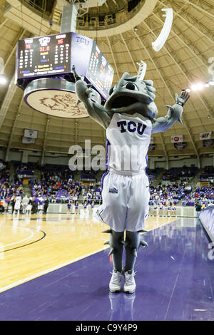 TCU Horned Frogs mascot Super Horn Frog celebrates after a first down ...