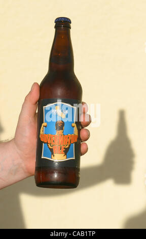 Laguna Beach in California showing the oceanfront with red aloe blooms ...