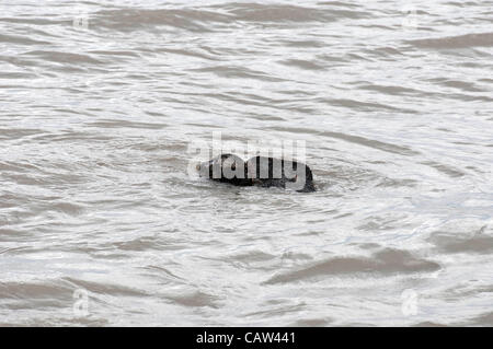 April 23rd 2012 - Porthcawl - UK : A memorial plaque marking the spot ...