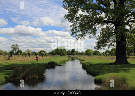 The Longford River in Bushy Park, one of London's Royal Parks near ...