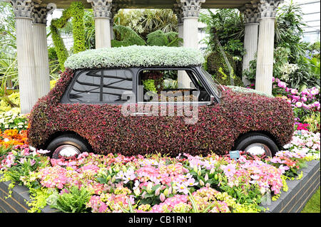 Flower Mini At The Chelsea Flower Show London UK Stock Photo - Alamy
