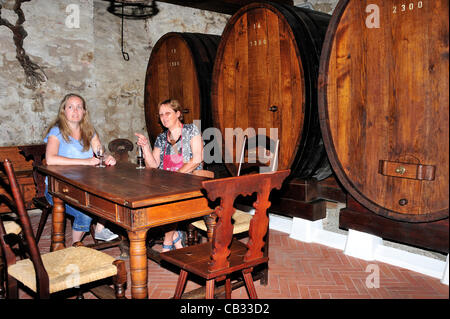 Drinking festival in wine cellar. A group of men and women drink wine ...