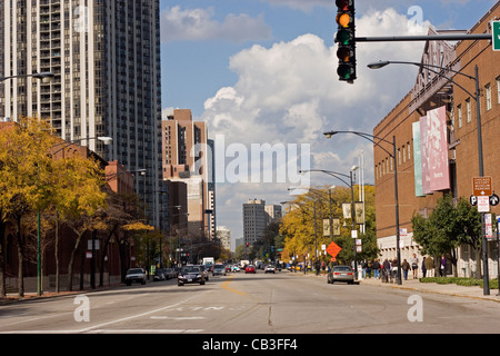 The Chicago History Museum on Clark Street on the near north side of ...