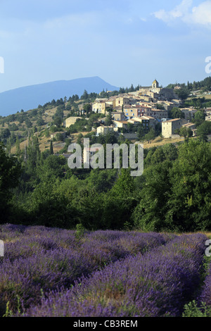 Aurel village and lavender fields in south of France Stock Photo - Alamy