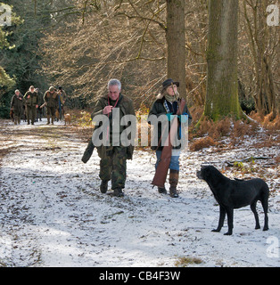 Pheasant game shoot in winter UK Stock Photo - Alamy