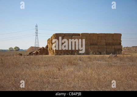 Straw bales in huge stacks waiting for burning in ECO2 power station in ...