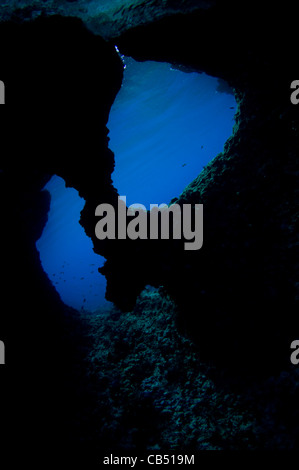 Boo Windows on Boo Island, Raja Ampat, West Papua, Indonesia, Pacific ...