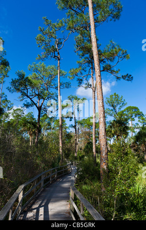 Naples, Florida - The National Audubon Society's Corkscrew Swamp ...