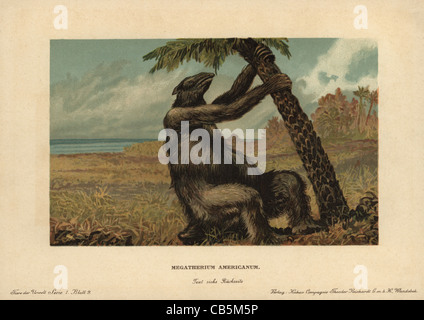Megatherium americanum, extinct genus of elephant-sized ground sloths ...