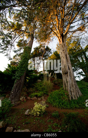 Gardens at Oldway Mansion in Paignton, Devon, owned by Torbay Council ...