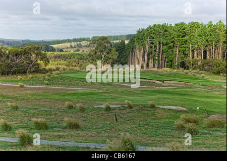 links style golf course south australia Stock Photo - Alamy