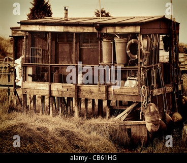 A rundown, dilapidated, wooden shack or shed, covered in ivy and other ...
