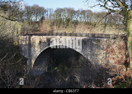 The Causey Arch, the oldest surviving railway bridge in the world. Near ...