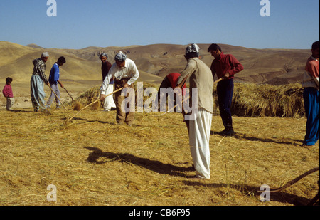 Kurdish farmers in Iraqi Kurdistan dressed in traditional linen clothes ...