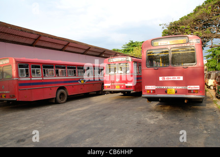 Sri Lanka bus station Stock Photo: 127261934 - Alamy