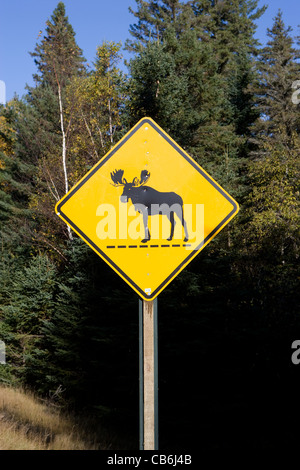 New England: Moose warning road sign Stock Photo - Alamy
