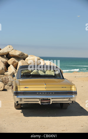 1965 Pontiac GTO 2 door Hrd top, Gold tiger edition, Hurst equipped ...