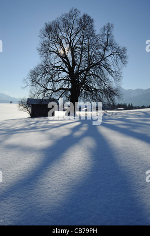 A cozy winter scene with a rural hut resting on a frozen lake amidst a ...