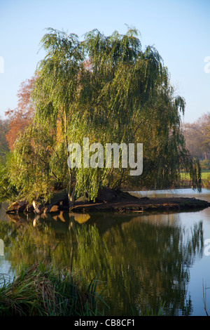 Lake at Clapham Common Stock Photo - Alamy