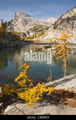 Larch trees at Perfection Lake in the Enchantment Lakes wilderness in ...