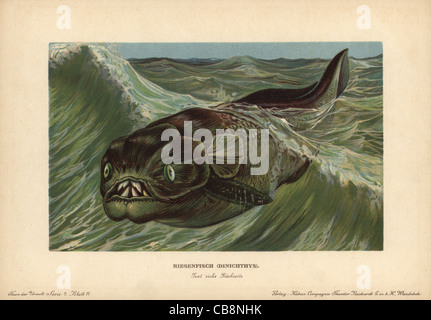 Dinichthys Stock Photo: 27703314 - Alamy