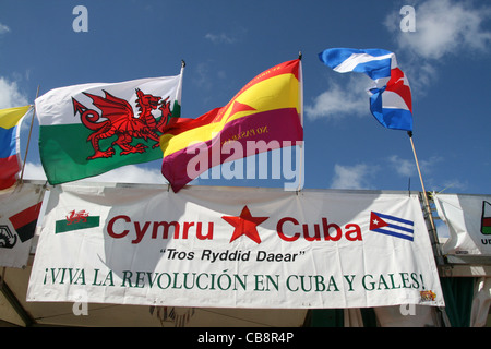 welsh red dragon banners flags, wales Stock Photo - Alamy