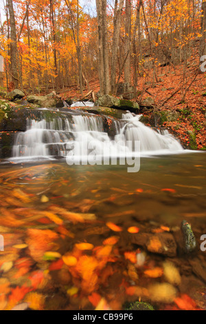 Falls on Hogcamp Branch, Rose River Loop Trail, Shenandoah National ...