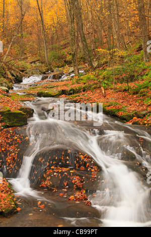 Falls on Hogcamp Branch, Rose River Loop Trail, Shenandoah National ...