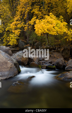 merced river and leaves yosemite national park california Stock Photo ...