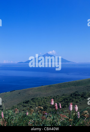 Landscape in Rebun Island, Hokkaido, Japan Stock Photo - Alamy