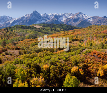 The Dallas Divide is a Colorado icon, well known for its vivid fall ...