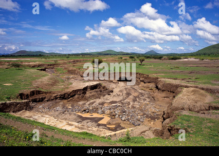 Soil erosion landscape due to deforestation Stock Photo - Alamy