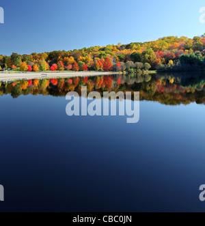 Beautiful Autumn trees reflecting in river Stock Photo - Alamy
