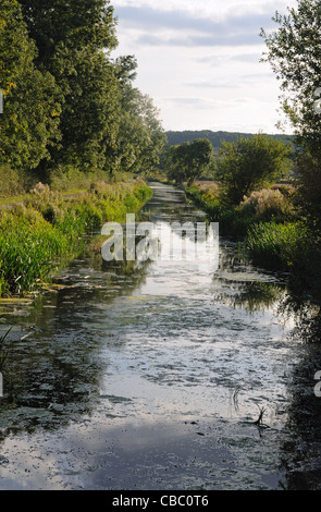 grantham nottinghamshire canal england uk Stock Photo - Alamy