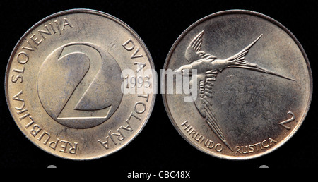 Coins of Slovenia. Barn swallow (Hirundo rustica) depicted on the ...
