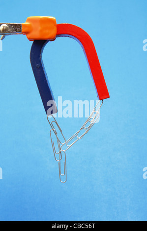 A horseshoe magnet attracts steel paper clips Stock Photo - Alamy