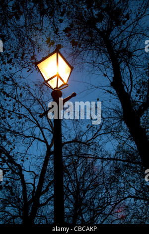 Lit Lampposts on Clapham at Night Stock Photo - Alamy