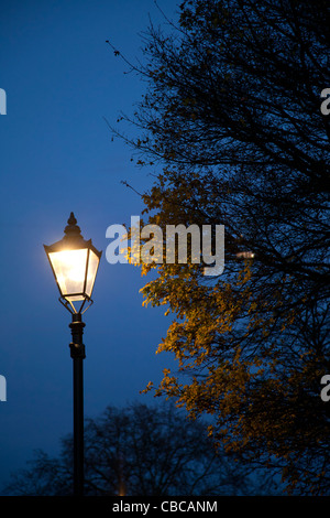 Lit Lampposts on Clapham at Night Stock Photo - Alamy