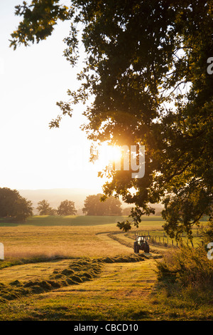 agriculture, farming, field, tractor, path, way, scenery, countryside ...