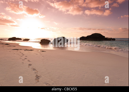 Bermuda. Sunrise and footprints footsteps on Horseshoe Bay beach ...
