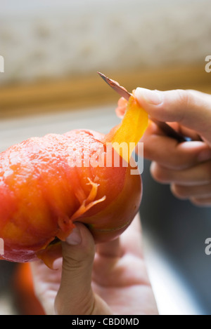 A person holds a fresh tomato in both hands in a garden. The setting ...