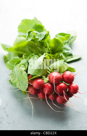 Directly above shot of red radishes arranged on blue wooden table Stock ...
