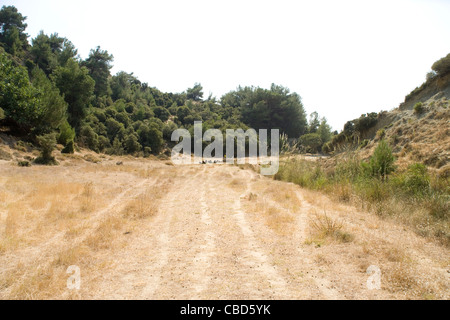 Gully Beach and Gully Ravine scene of fighting in the 1915 campaign in ...