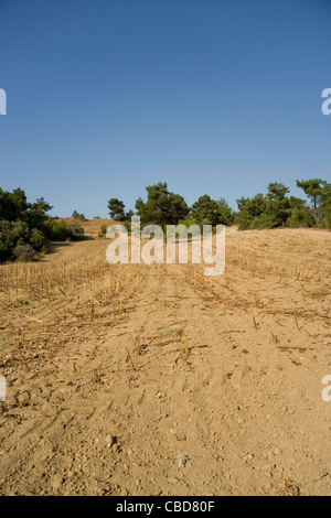 Gully Beach and Gully Ravine scene of fighting in the 1915 campaign in ...