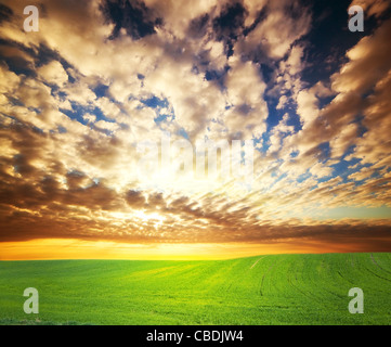 summer landscape with a colorful sunset over the roof, view through the ...