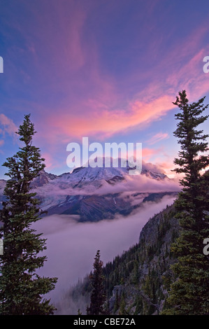 Overlook with Mt Rainier Stock Photo - Alamy